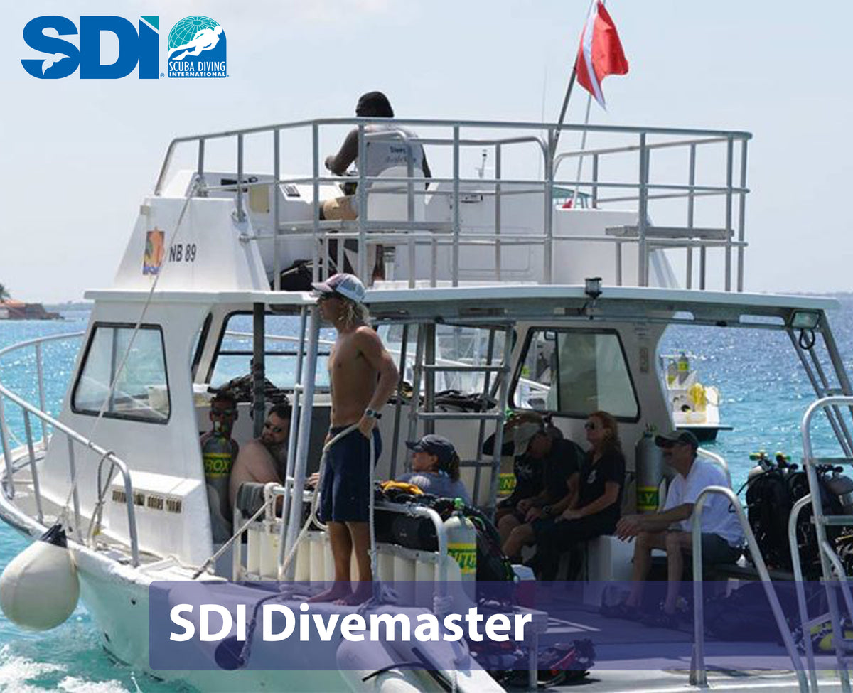 SDI Divemaster – Nauti Diver
